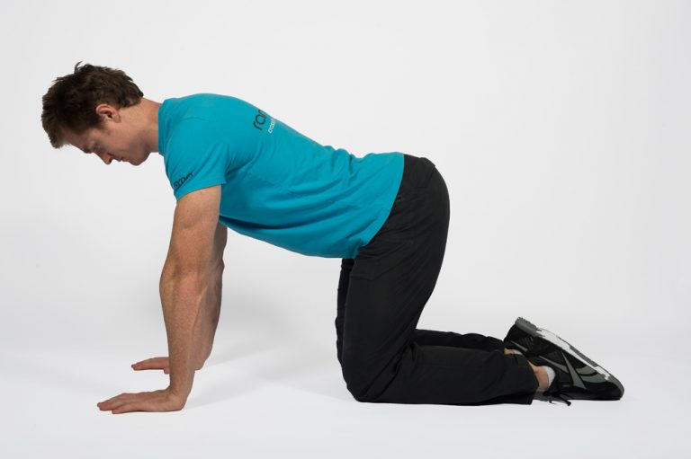 Four Point Kneeling Pelvic Tilts • Range Of Motion