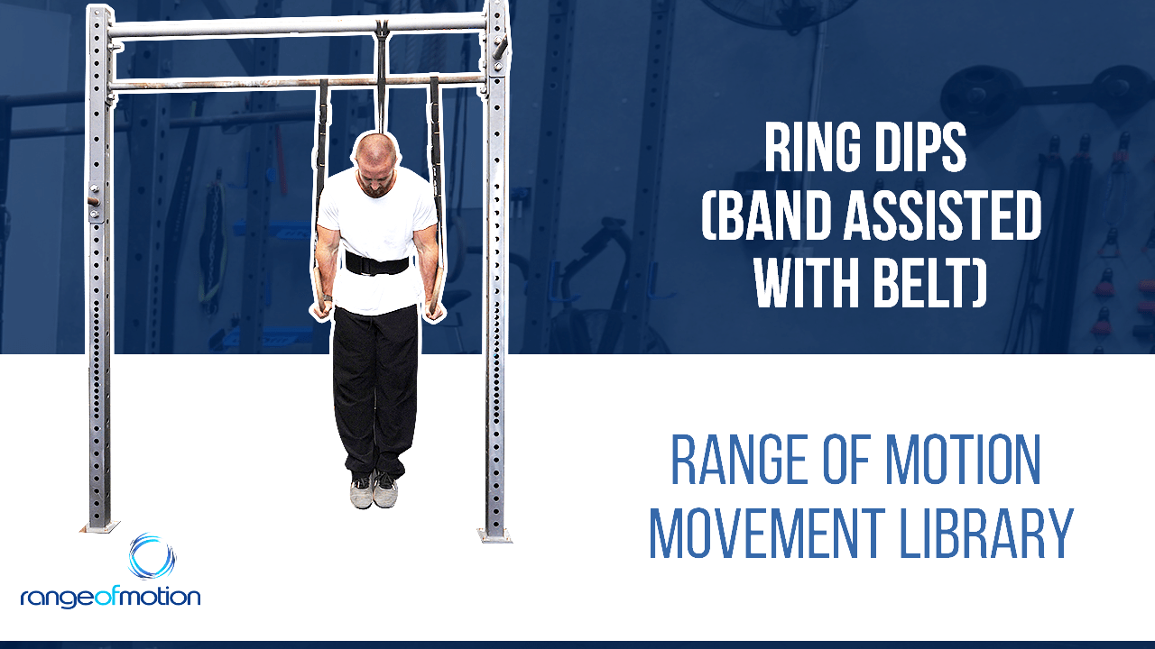 Band Assisted Ring Dips (Belt) • Range Of Motion