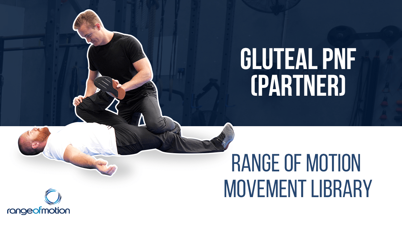 Gluteal PNF (partner) • Range Of Motion