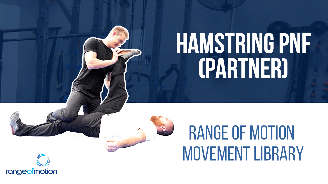 Hamstring PNF (partner) • Range Of Motion