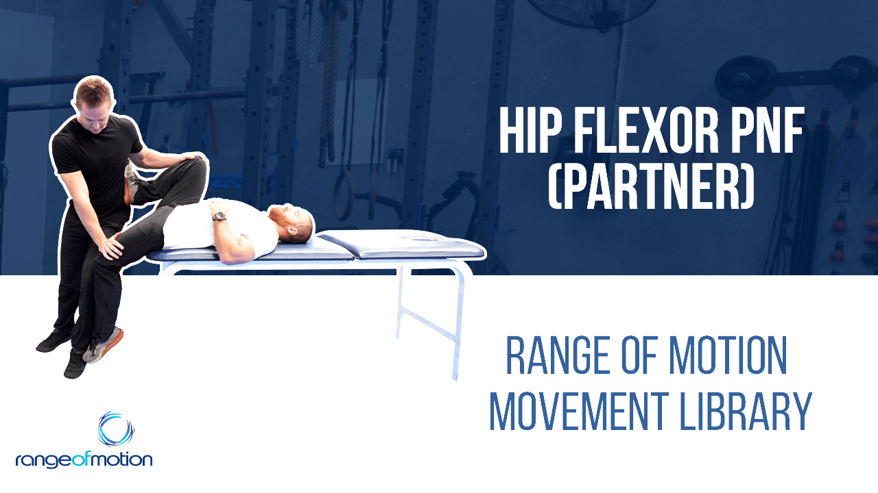 Hip Flexor PNF (partner) • Range Of Motion