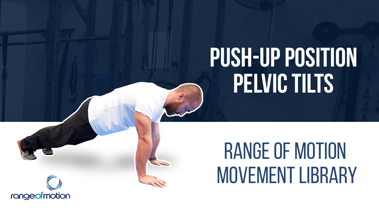 Push Up Position Pelvic Tilts • Range Of Motion