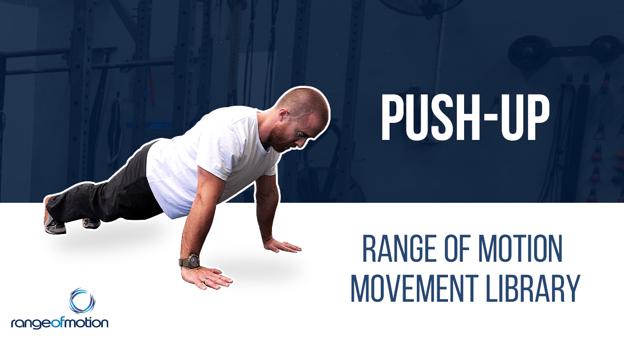 Push Up • Range Of Motion