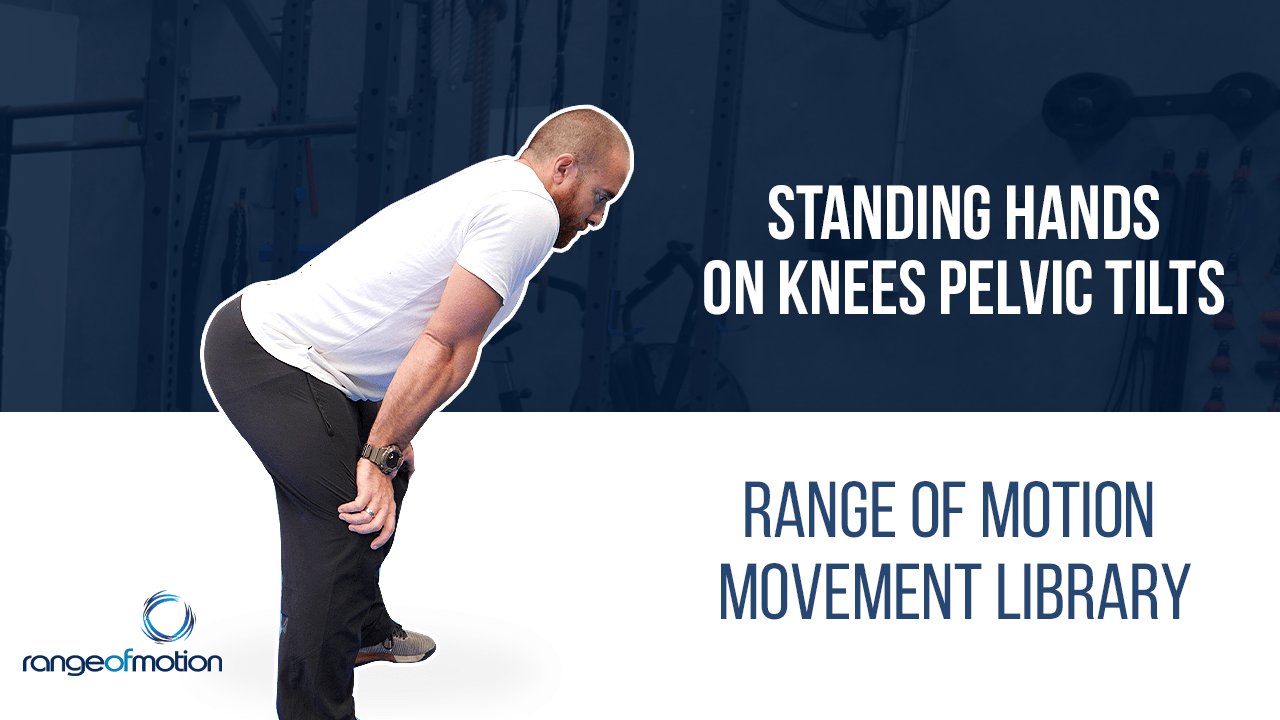Standing Hands on Knees Pelvic Tilts • Range Of Motion