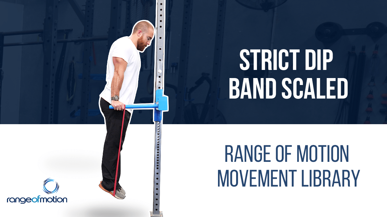 Strict Dip Band Scaled • Range Of Motion